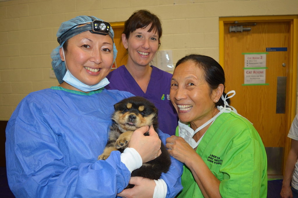 Veterinarians / Vet Students - Canadian Animal Task Force